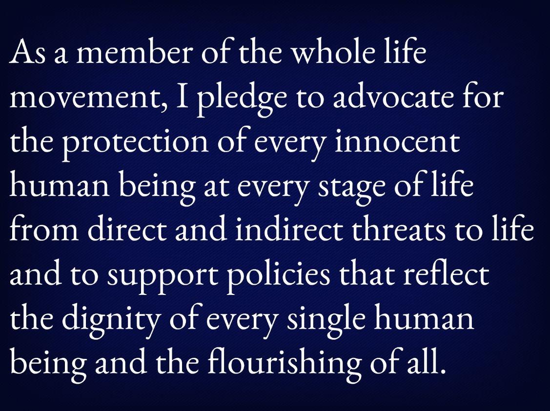 The Whole Life Pledge – Millennial